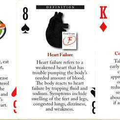 National Gallery of Art — The World of Playing Cards