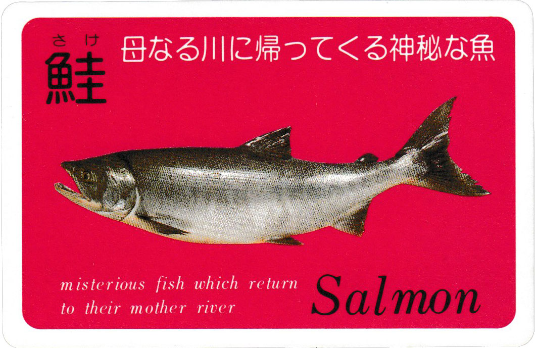 Salmon playing cards — The World of Playing Cards