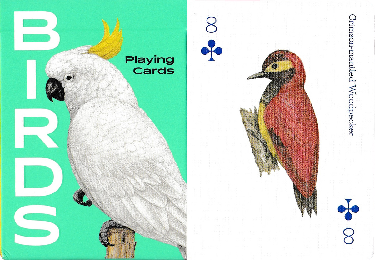 Birds playing cards — The World of Playing Cards