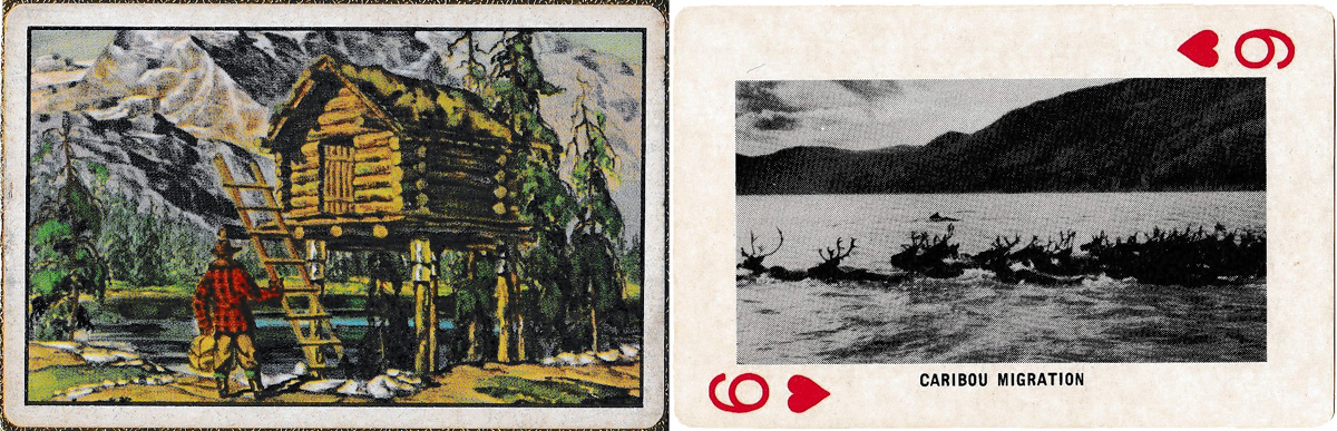 Alaska scenic playing cards — The World of Playing Cards