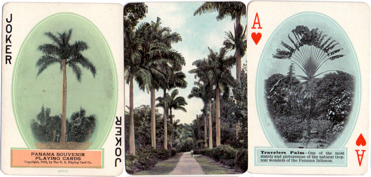 Panama Souvenir 1908 — The World of Playing Cards